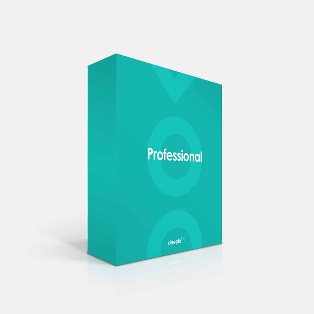 Capabilities - Deepki